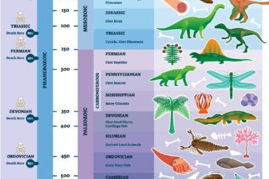 EVOLUTION OF INVERTEBRATES ACROSS GEOLOGICAL AGES