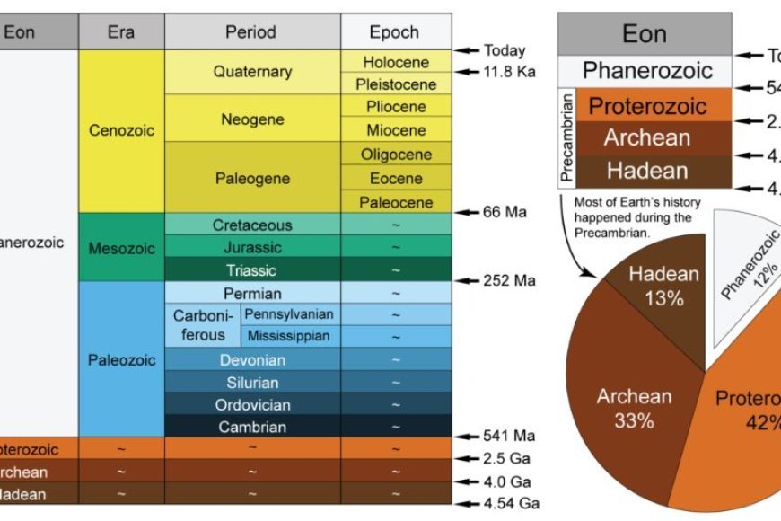 A CHRONOLOGICAL INVESTIGATION OF THE EVOLUTION OF LIFE DURING THE ...